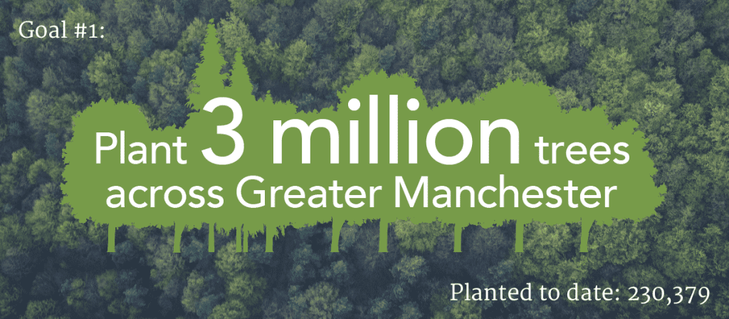 Celebrating Partnership with City of Trees