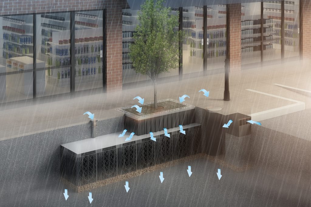 Trees & Water Sensitive Urban Design